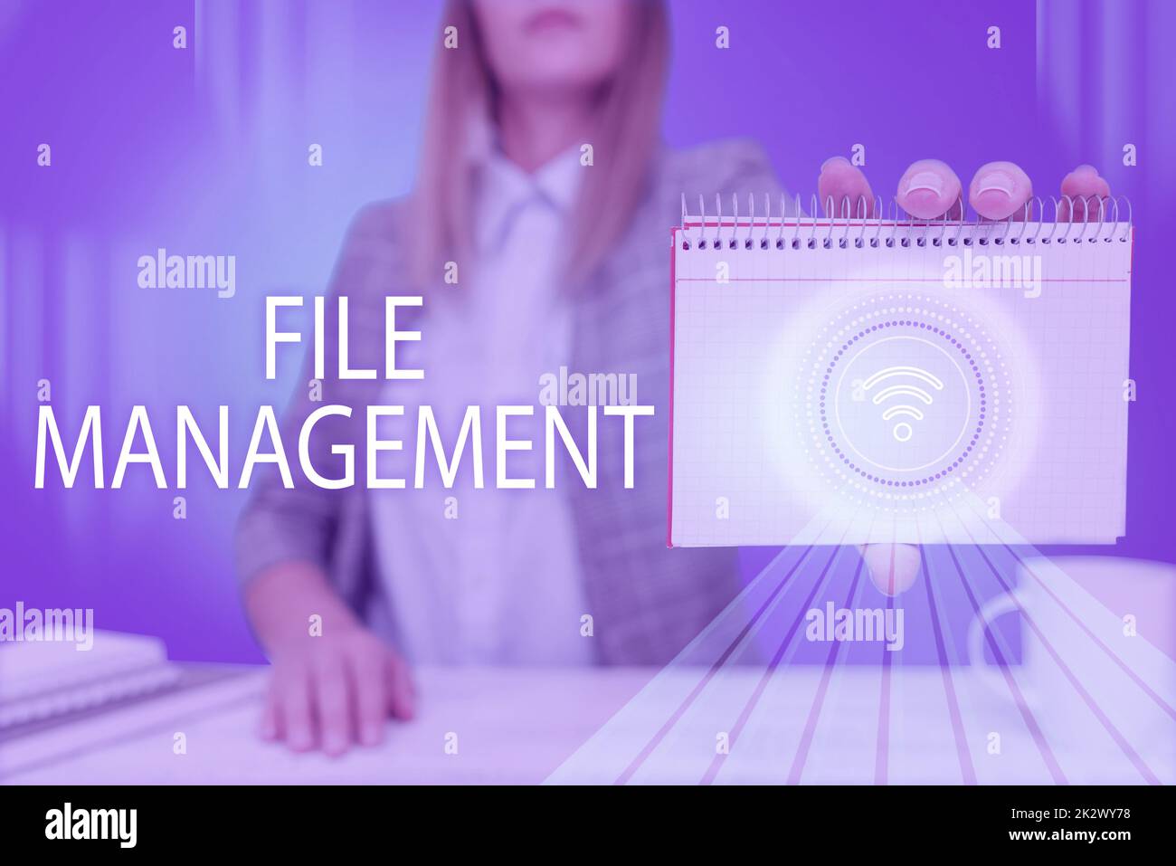 Sign Displaying File Management Business Concept Computer Program That Provides User Interface