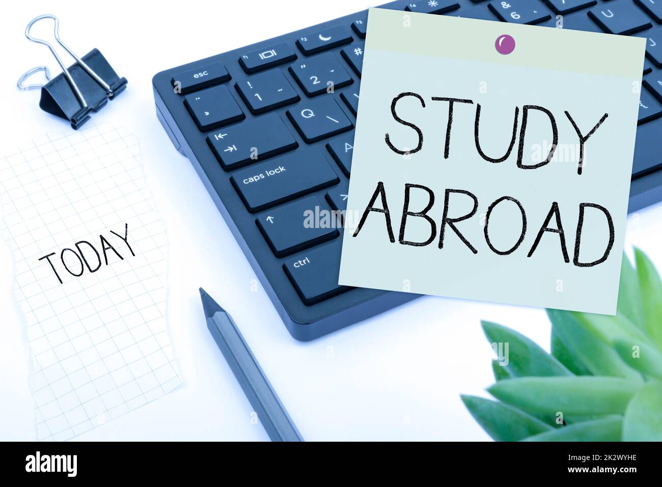 Text sign showing Study Abroad. Business showcase Pursuing educational ...