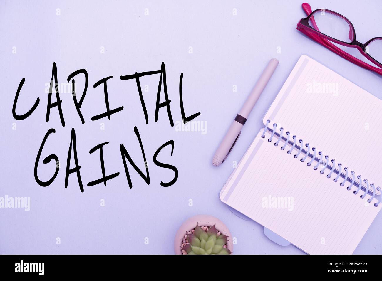 Text showing inspiration Capital Gains. Business overview Bonds Shares ...