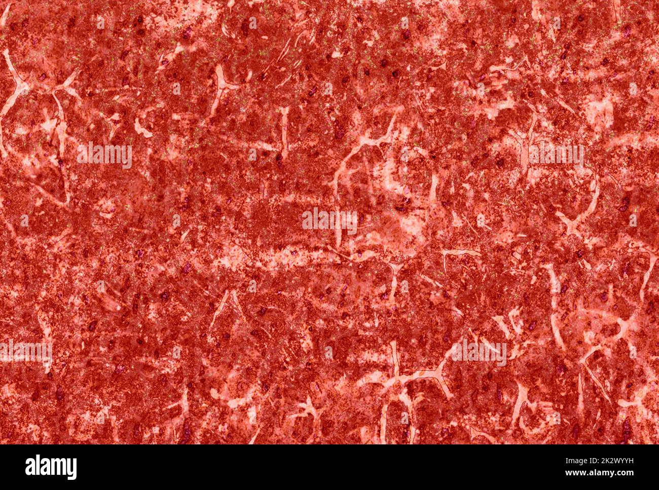 Abstract red background with natural texture and irregular pattern ...
