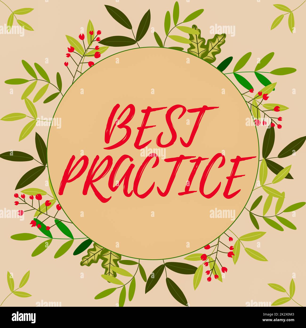 Text showing inspiration Best Practice. Business showcase Method ...