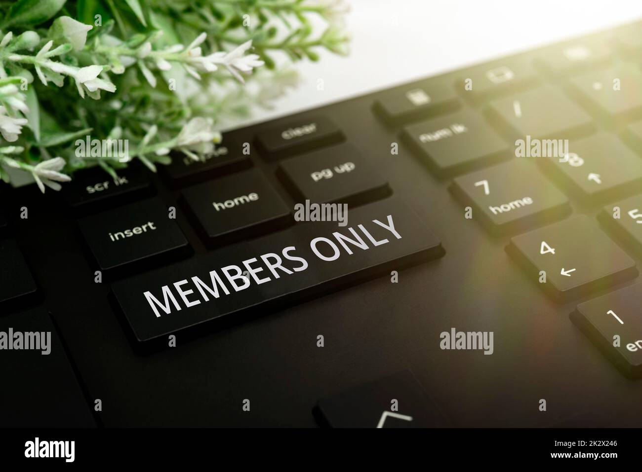 Writing displaying text Members Only. Concept meaning Limited to an ...