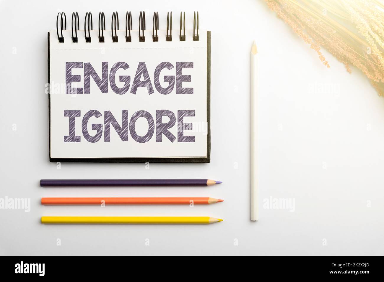 Social emotional learning hi-res stock photography and images - Alamy