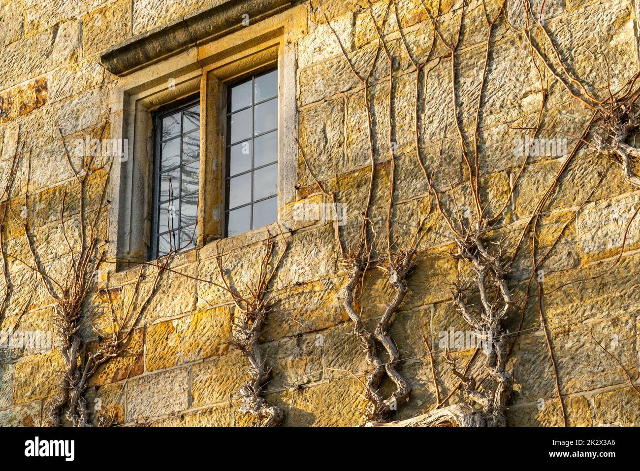 Mullions hi-res stock photography and images - Alamy