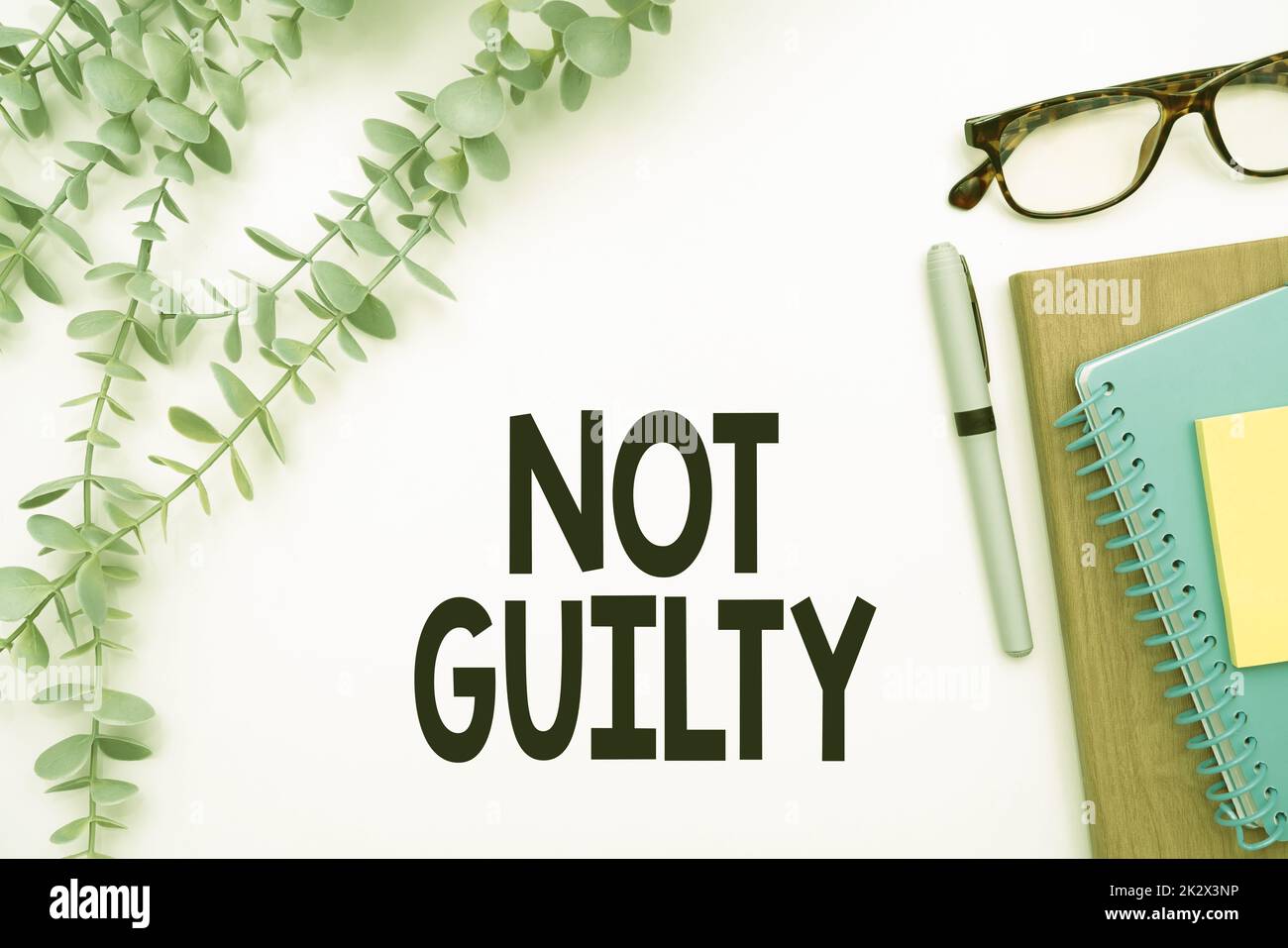 Conceptual caption Not Guilty. Business showcase someone is innocent ...
