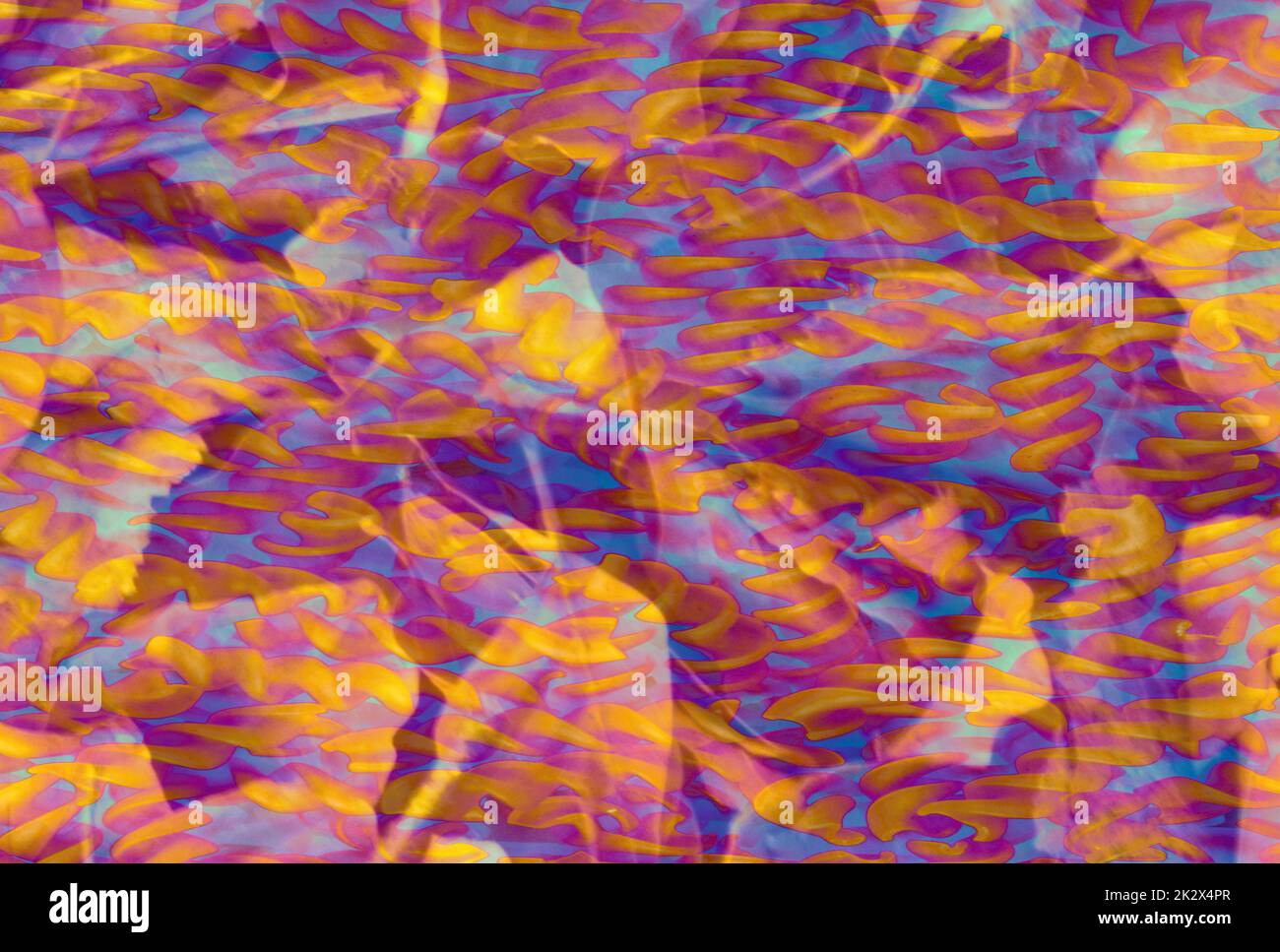 Abstract multicolor background with natural texture and irregular ...