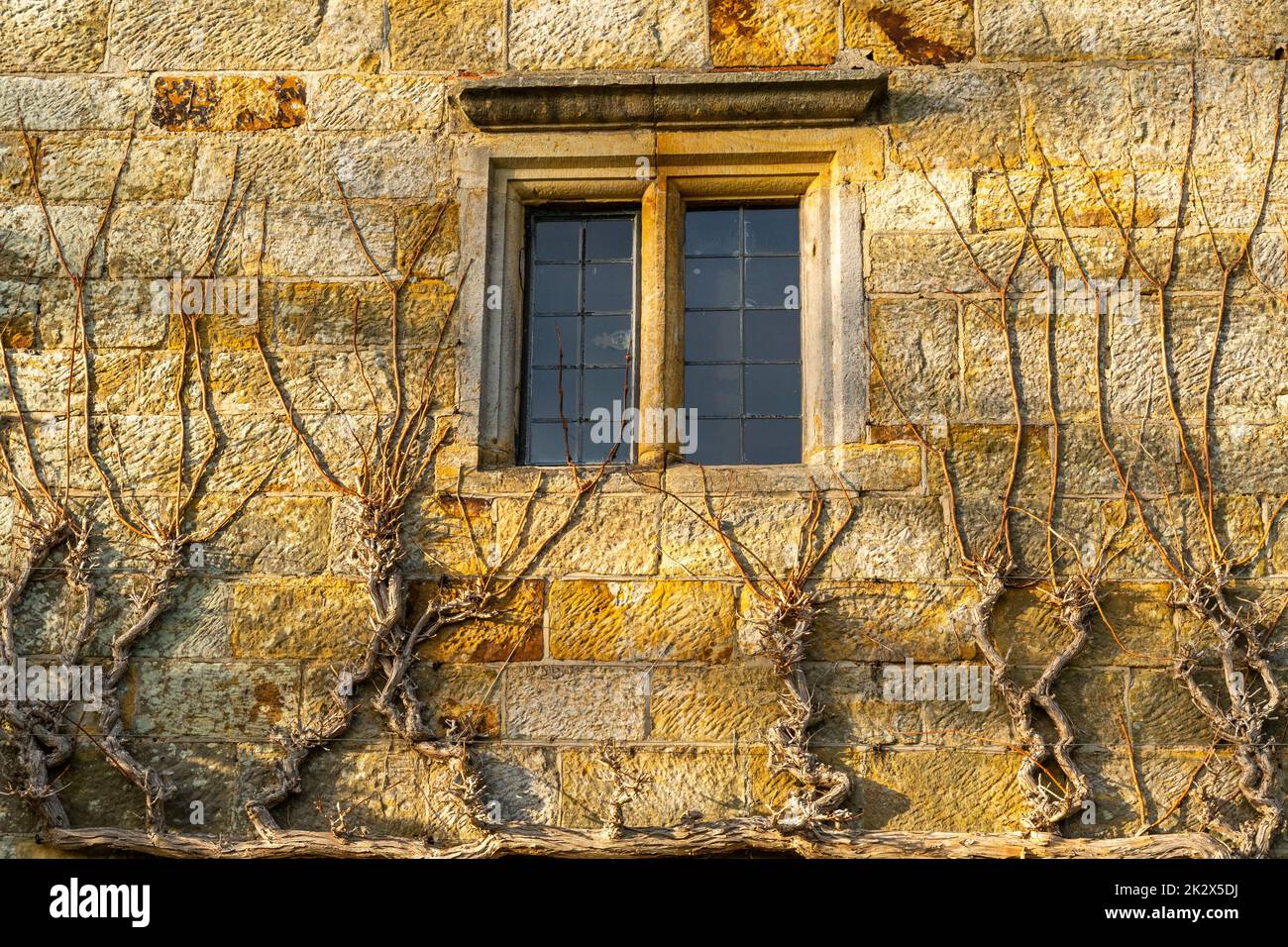 Leaded windows with stone mullions and lintel at Bateman's, Burwash ...