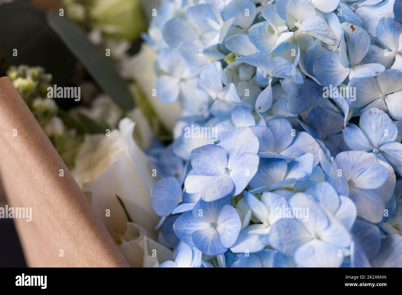Beautiful flower bouquet close up Stock Photo - Alamy