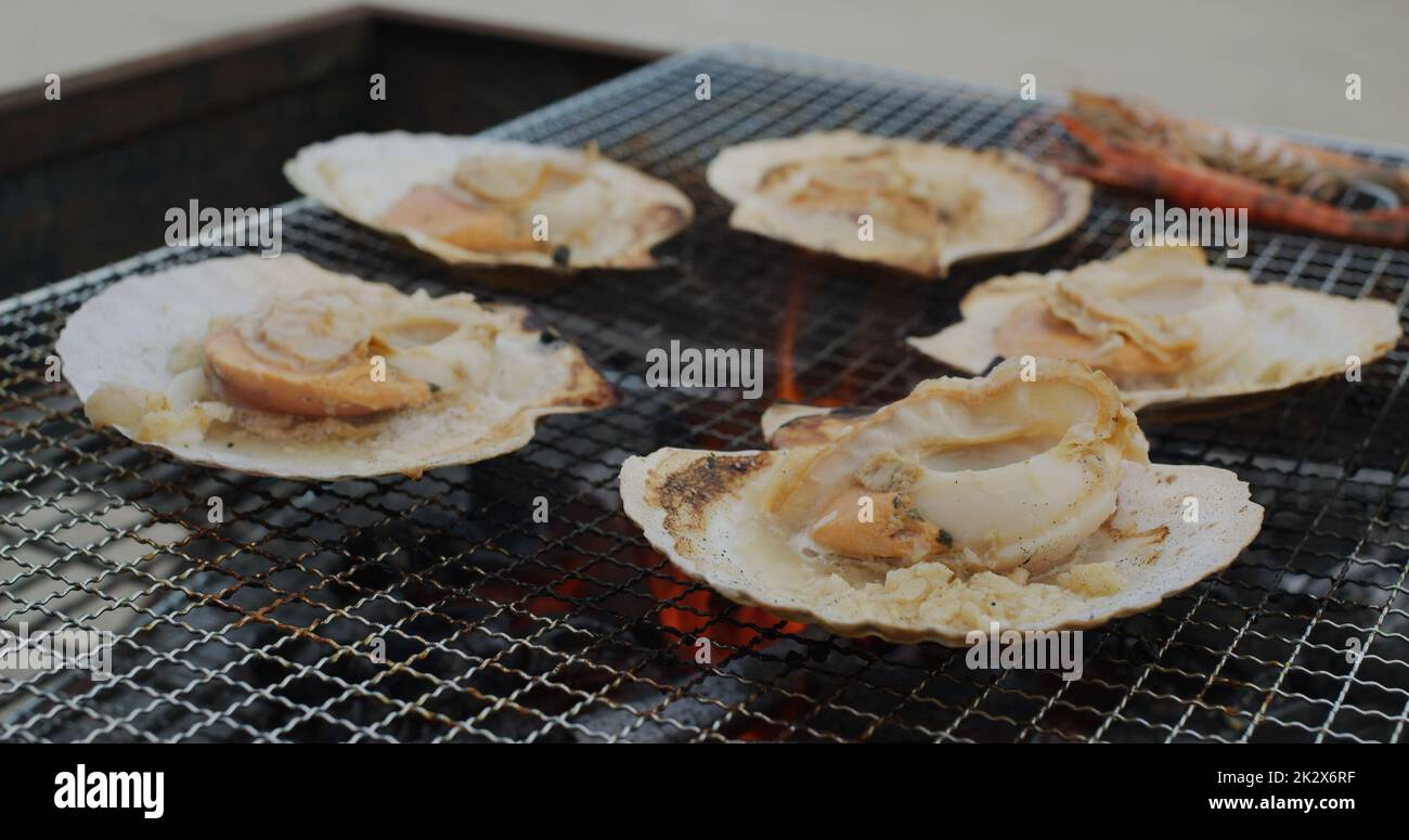 Scallop net hi-res stock photography and images - Alamy