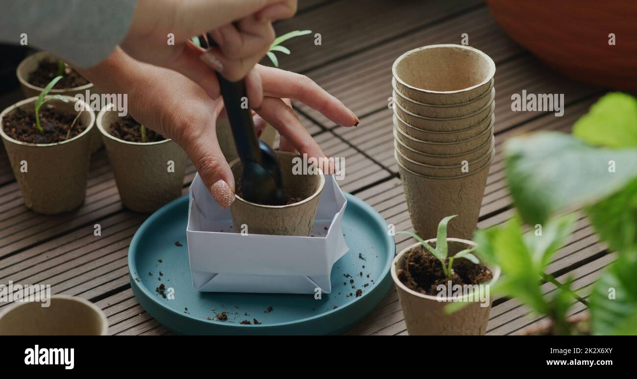 Planting at home in balcony Stock Photo - Alamy