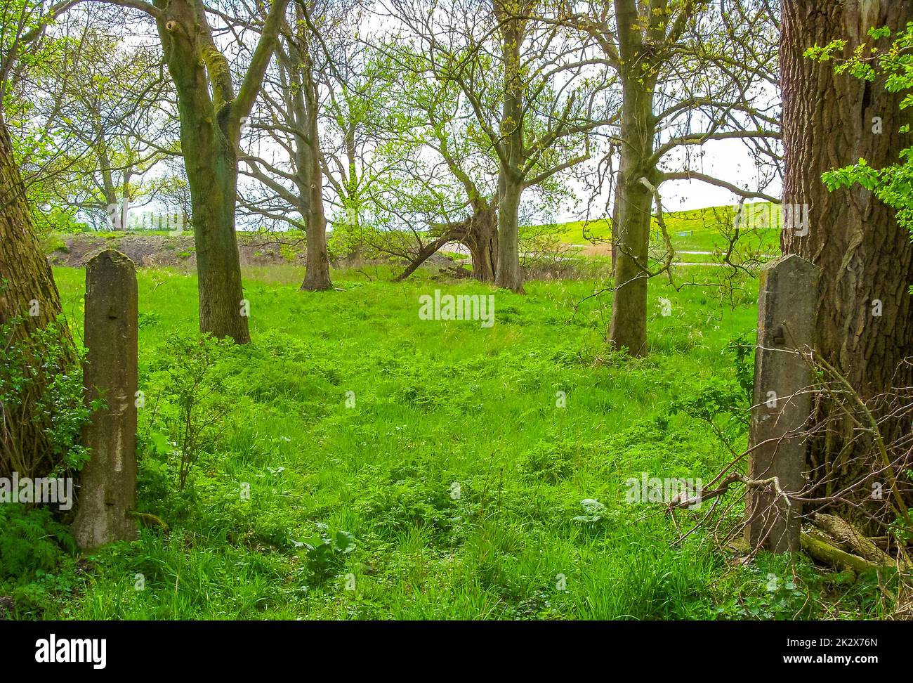 Natural panorama view with moor water coast trees forest Germany Stock ...