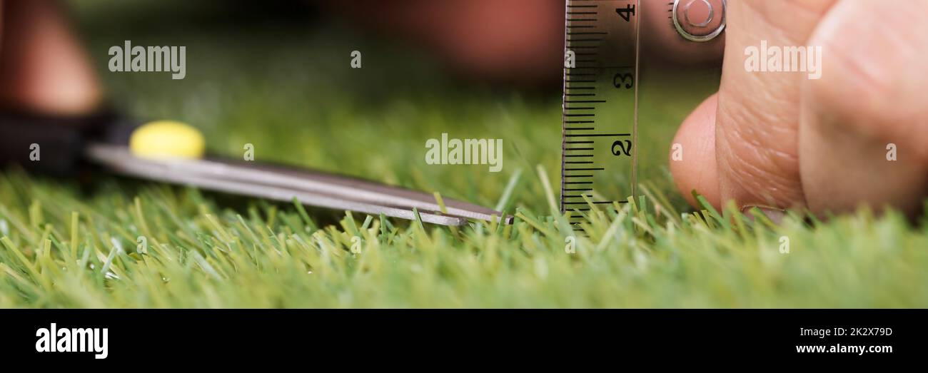 Man Using Measuring Scale While Cutting Grass Stock Photo - Alamy