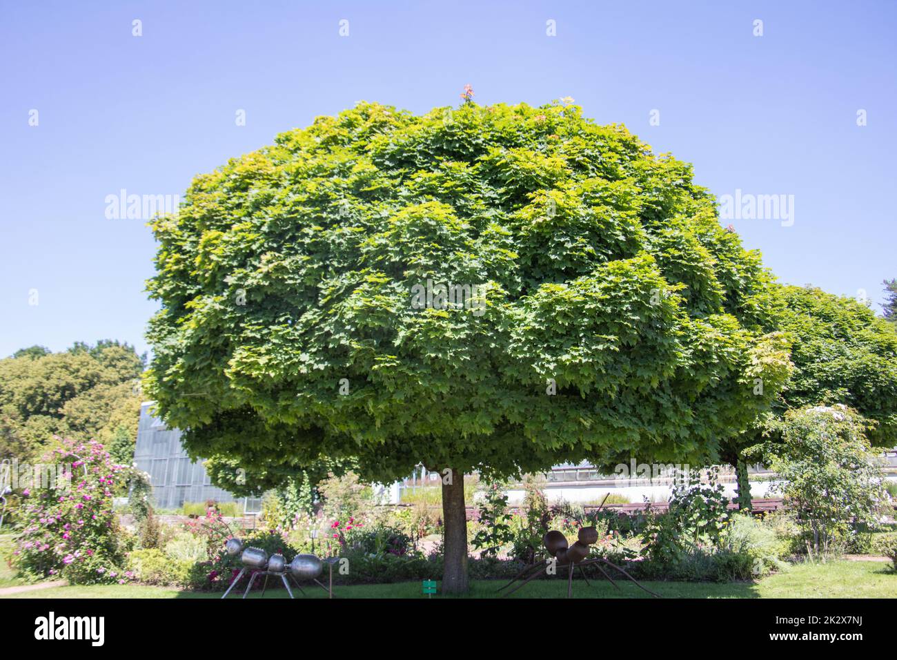 botanical garden Solingen Stock Photo - Alamy