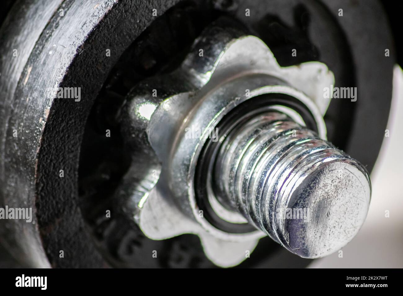 Heavy dumbbell for bodybuilding weight lifting exercises with personal ...