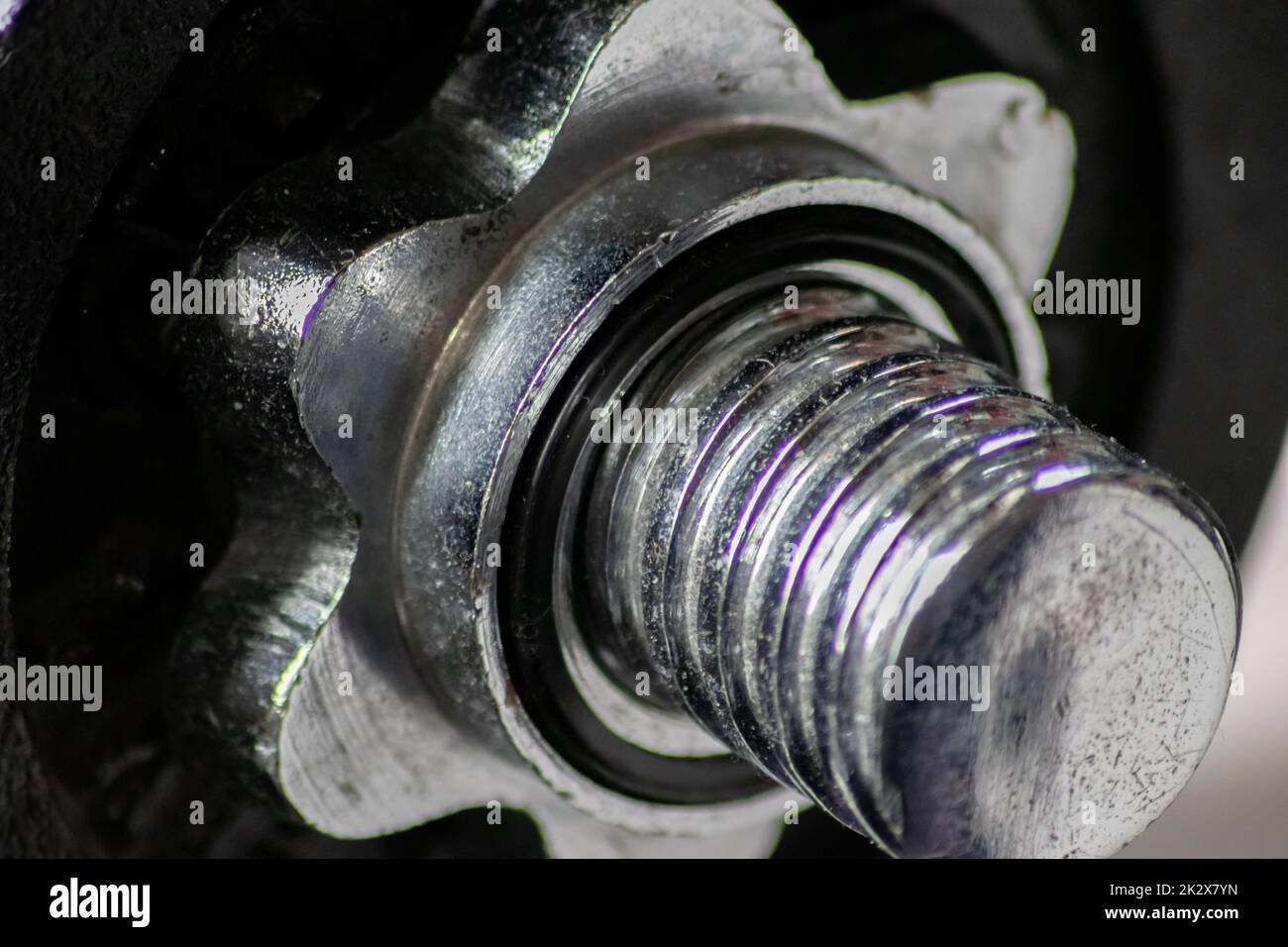 Heavy dumbbell for bodybuilding weight lifting exercises with personal ...