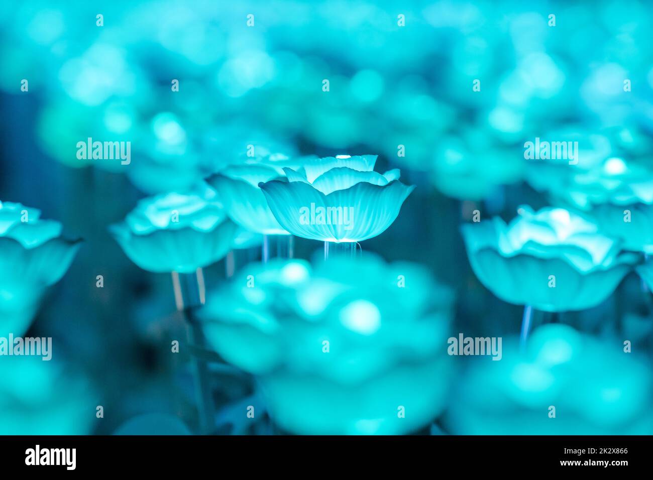 The lights are decorated as flowers to create beautiful light at night ...