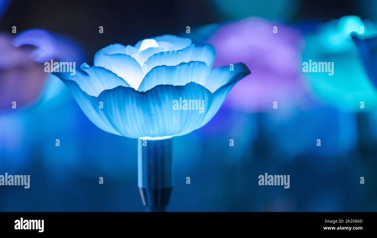 The lights are decorated as flowers to create beautiful light at night ...