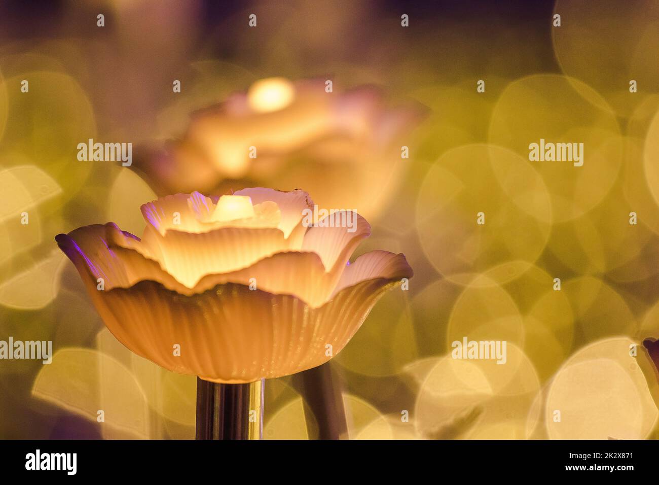 The lights are decorated as flowers to create beautiful light at night ...