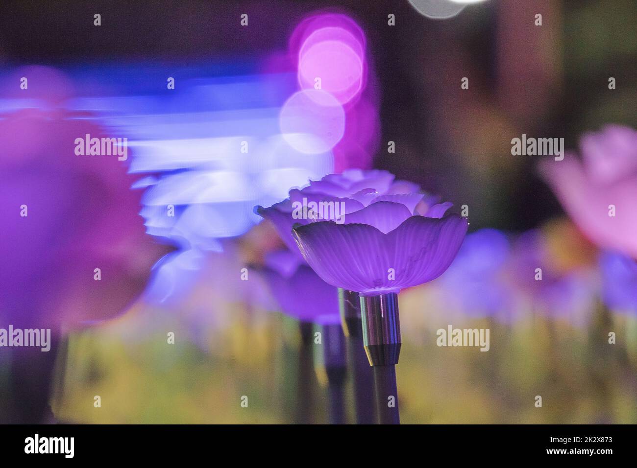 The lights are decorated as flowers to create beautiful light at night ...