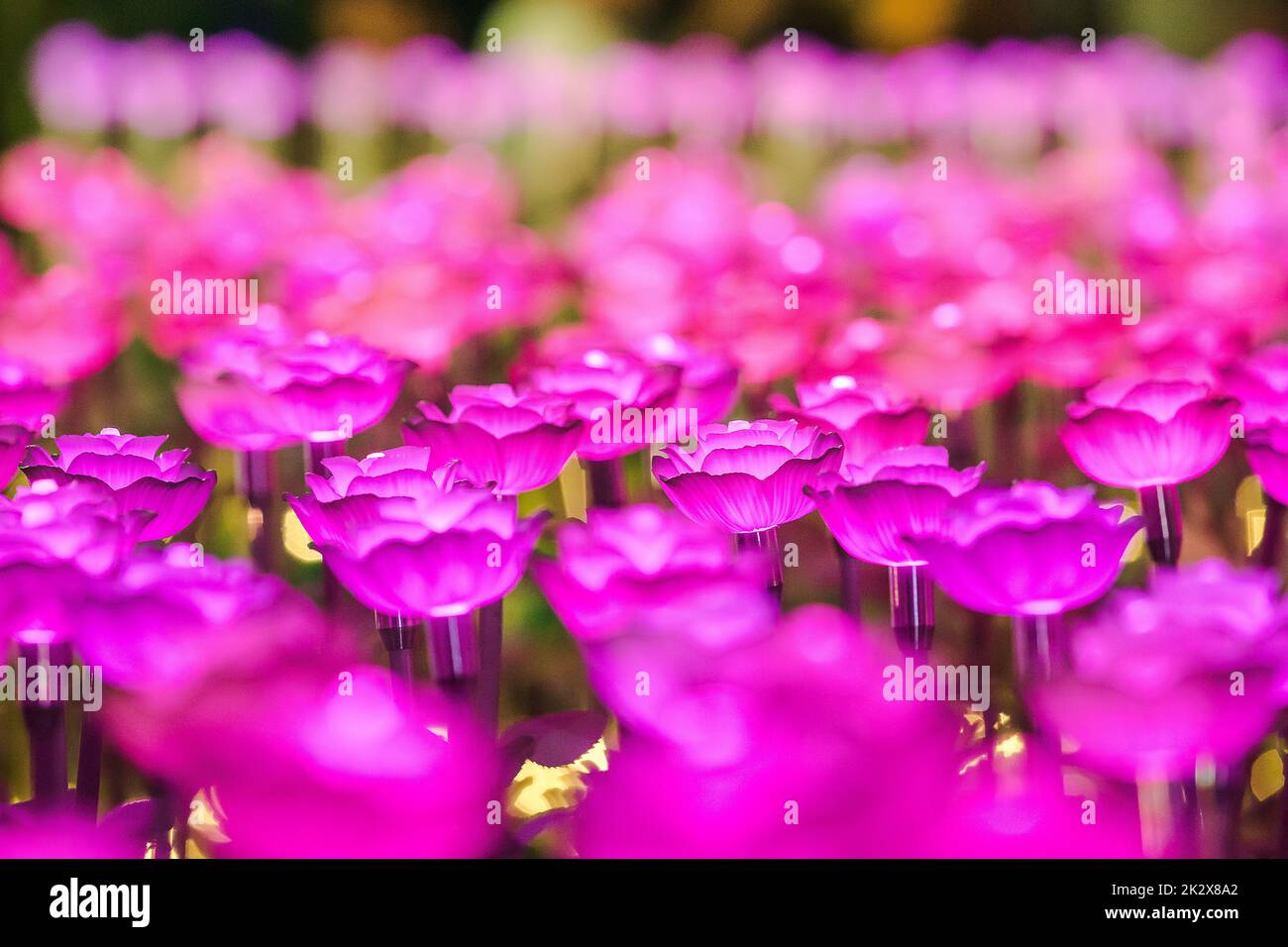 The lights are decorated as flowers to create beautiful light at night ...