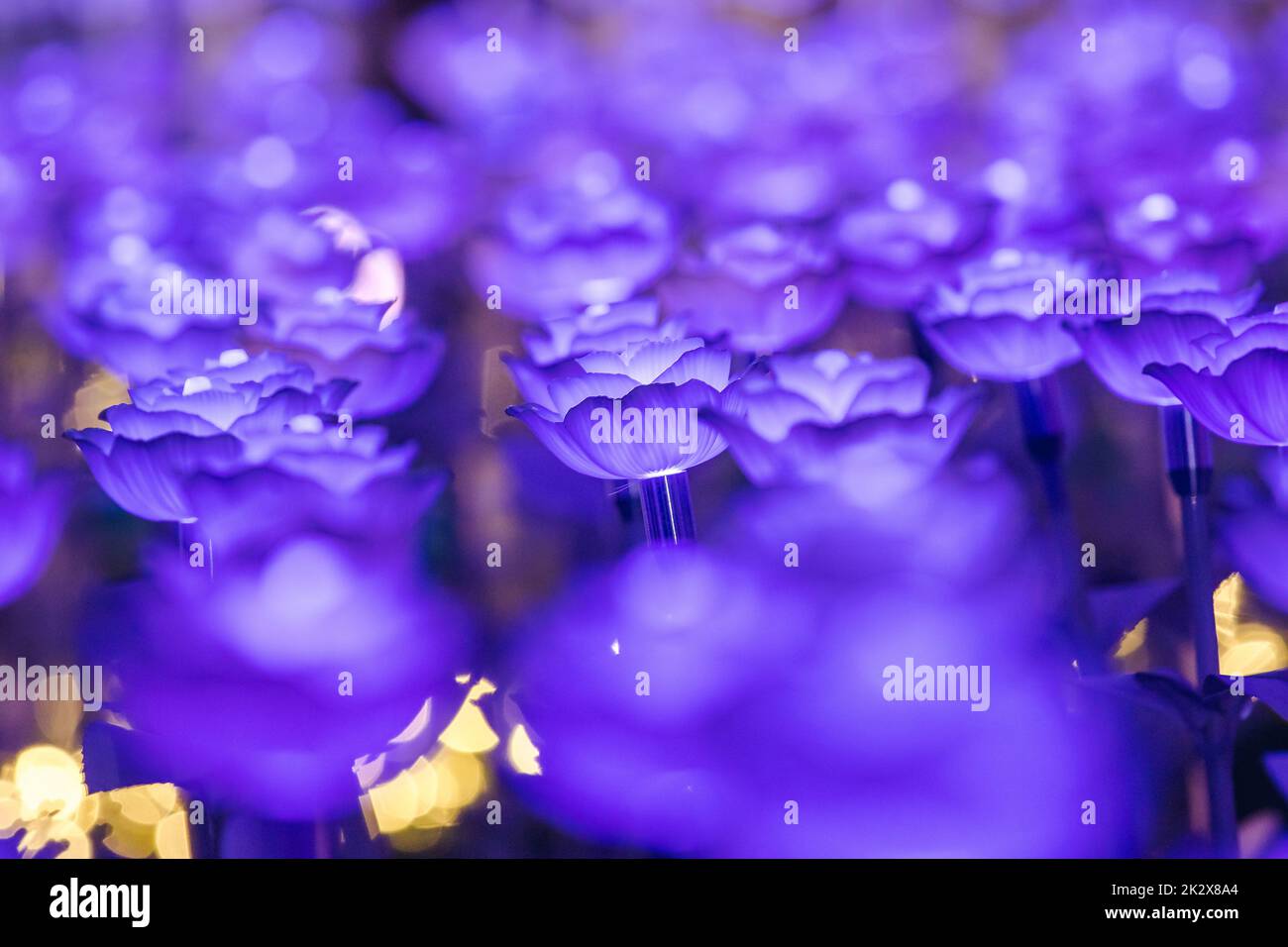 The lights are decorated as flowers to create beautiful light at night ...