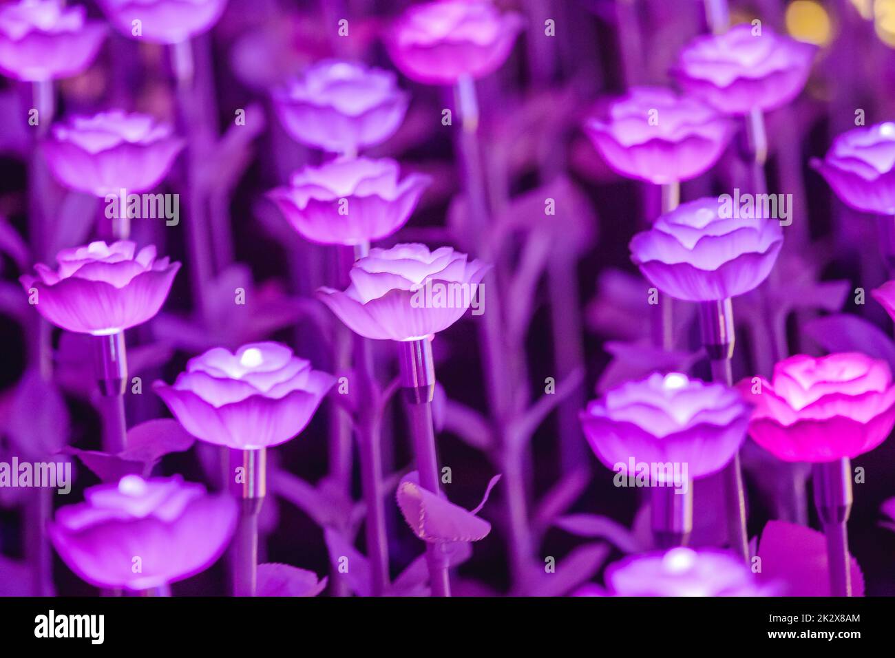 The lights are decorated as flowers to create beautiful light at night ...