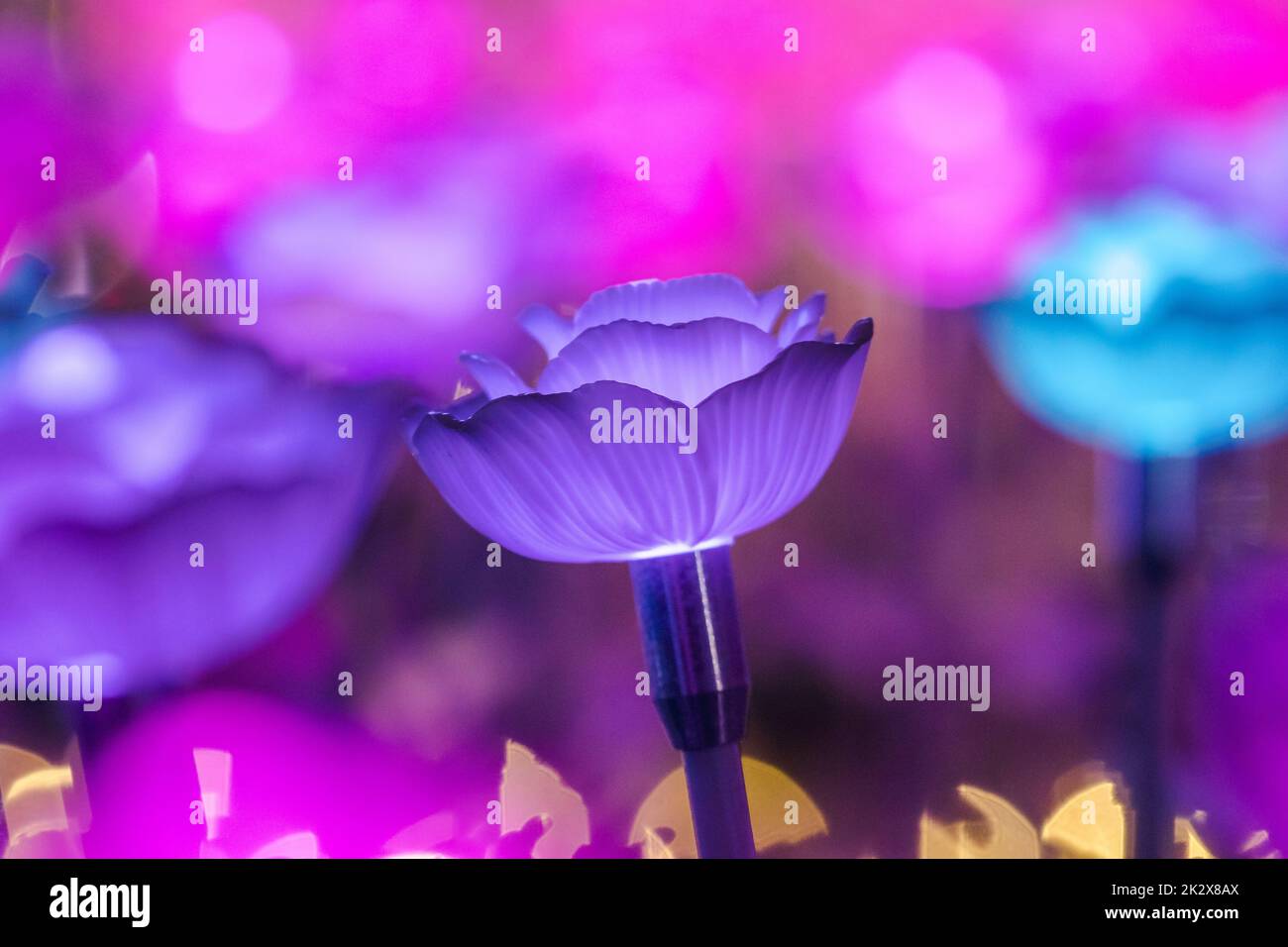 The lights are decorated as flowers to create beautiful light at night ...