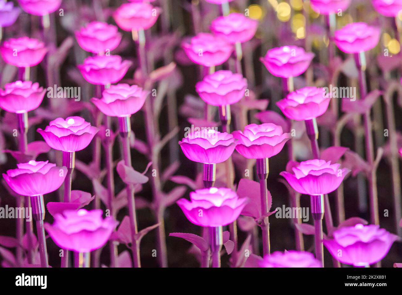 The lights are decorated as flowers to create beautiful light at night ...