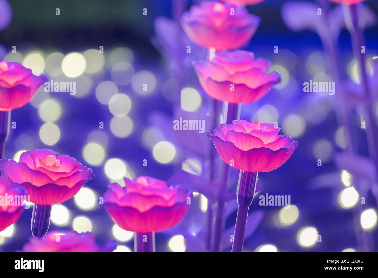 The lights are decorated as flowers to create beautiful light at night ...