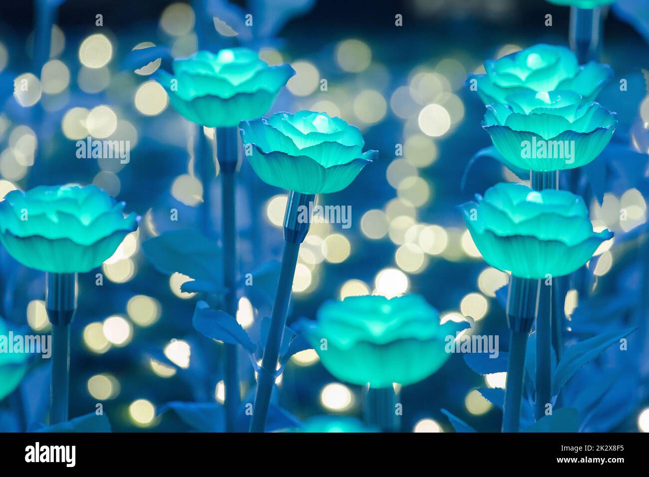 The lights are decorated as flowers to create beautiful light at night ...