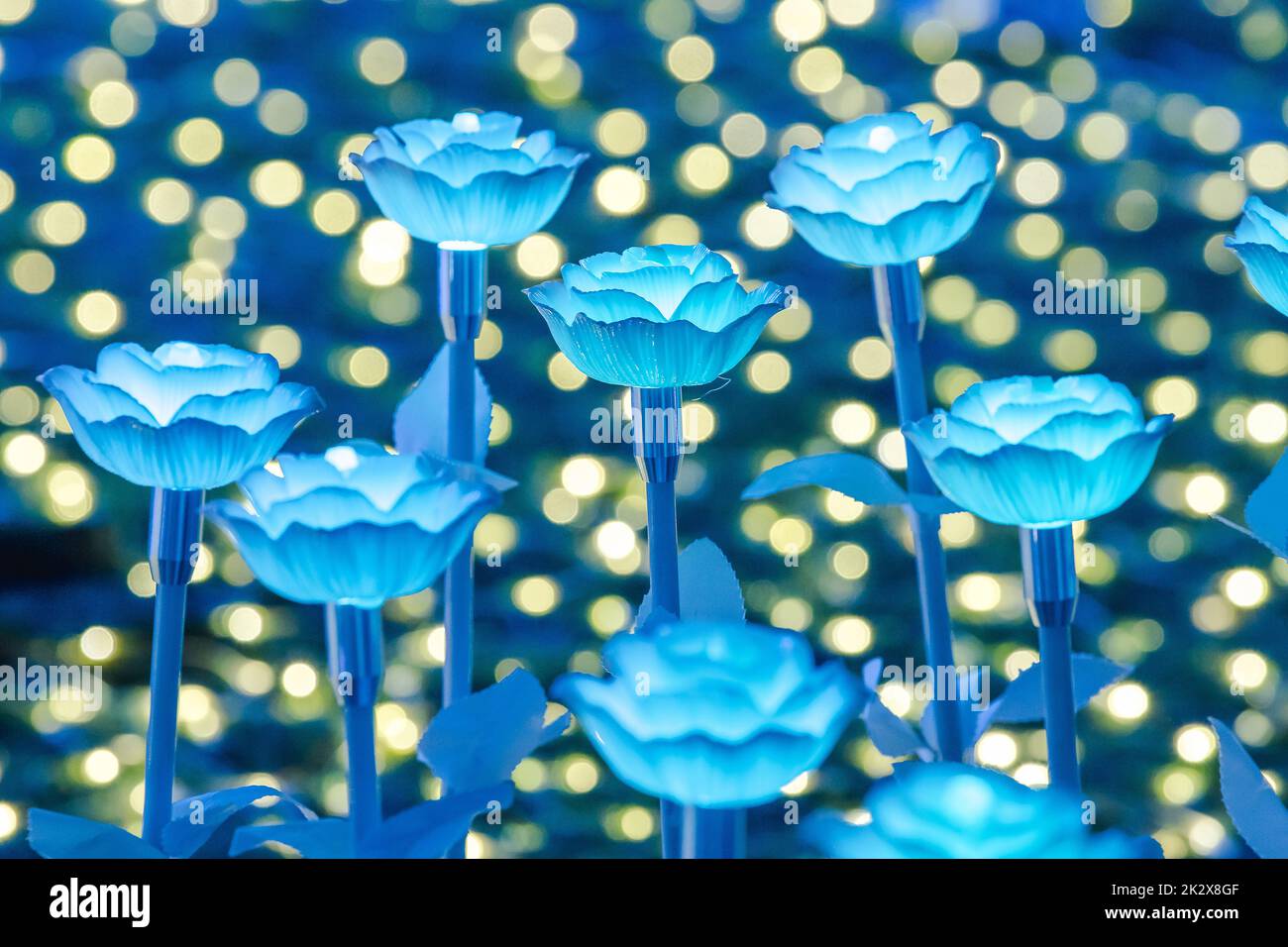 The lights are decorated as flowers to create beautiful light at night ...