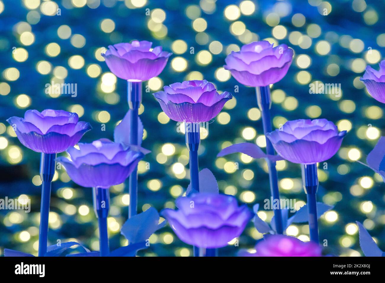 The lights are decorated as flowers to create beautiful light at night ...