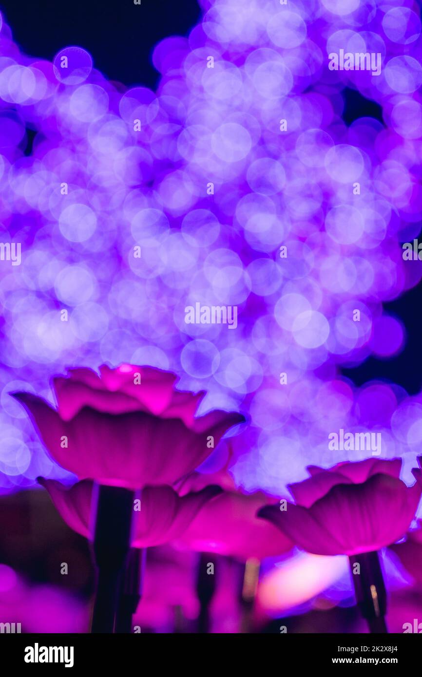 The lights are decorated as flowers to create beautiful light at night ...