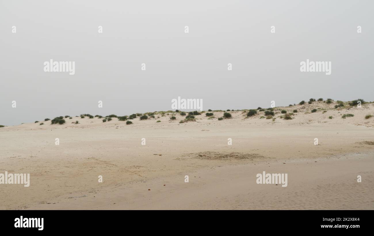 Panorama of sand dunes on the beach near Tel Dor, Israel Stock Photo ...