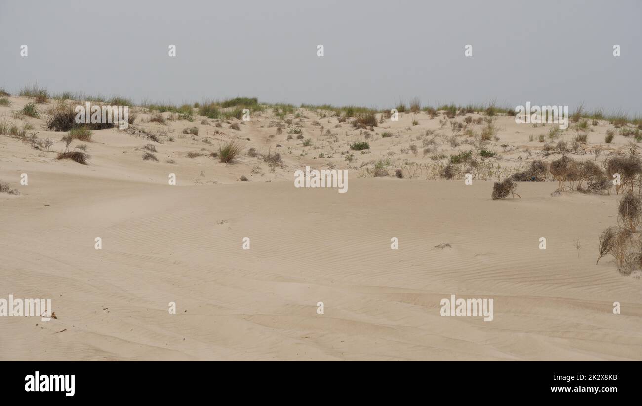 Panorama of sand dunes on the beach near Tel Dor, Israel Stock Photo ...