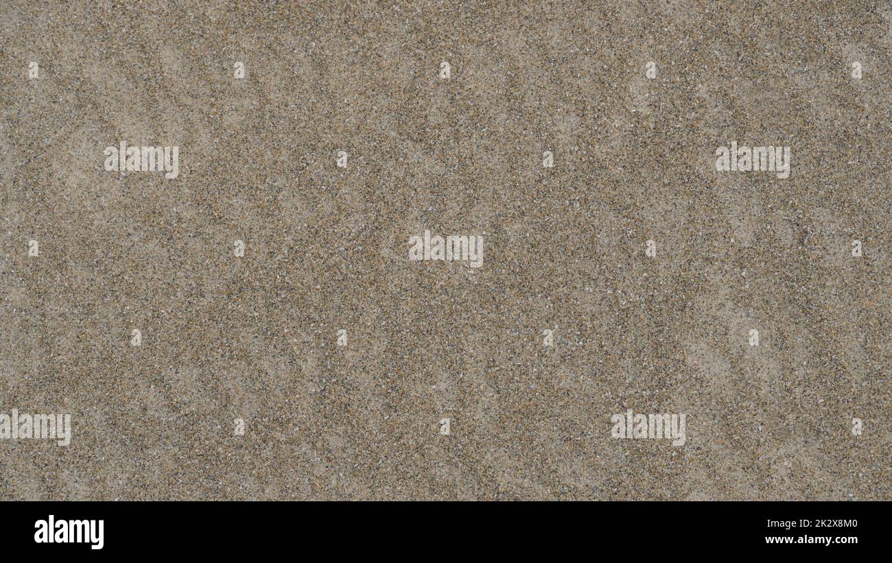 The sea-sand background. Close up view of beach sand grain Stock Photo ...
