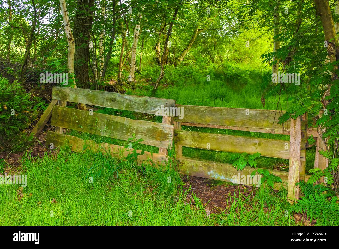 North German agricultural field fence gate nature landscape panorama ...
