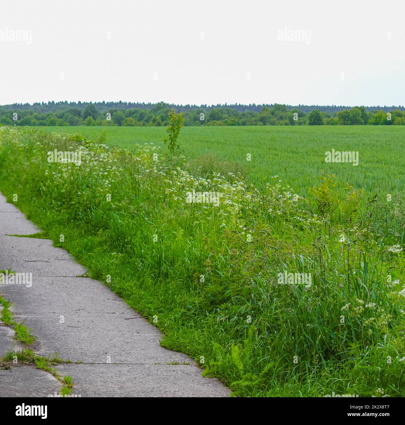 Pipinsburg hi-res stock photography and images - Alamy