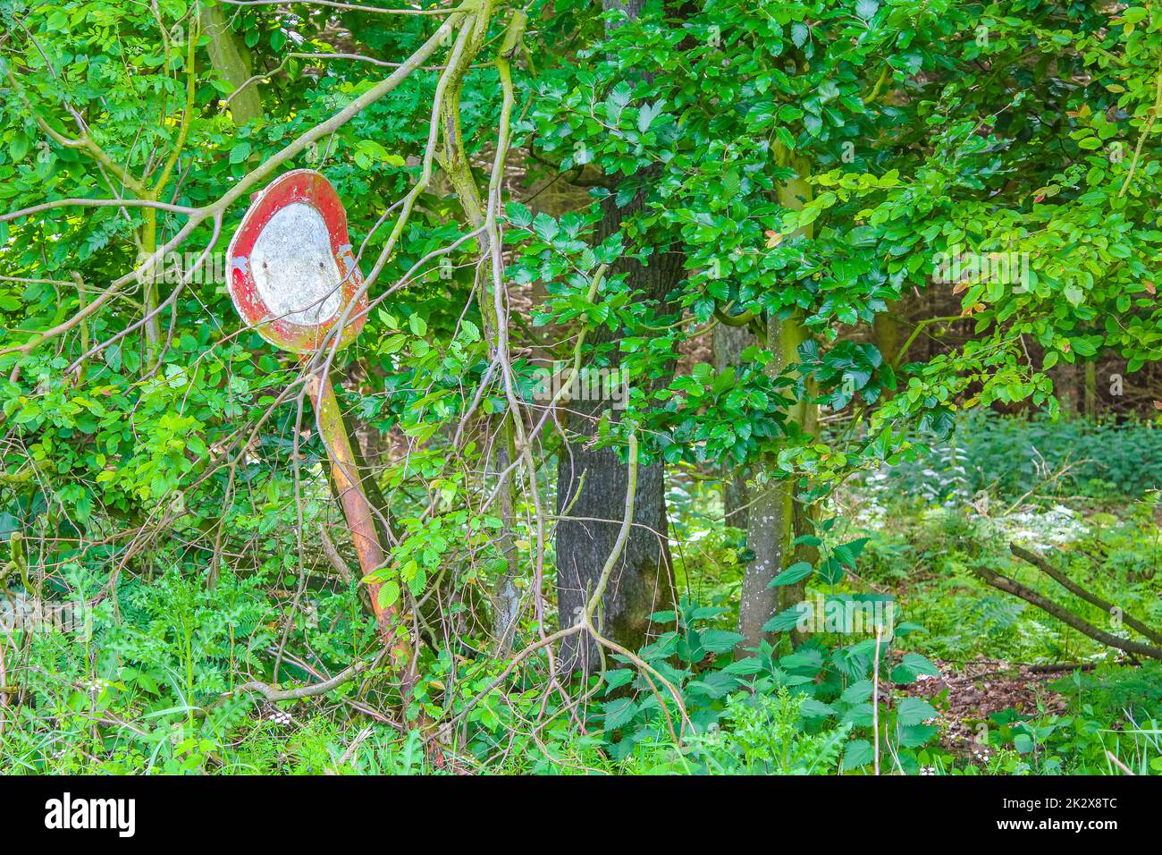North German red road sign forest trees nature landscape Germany Stock ...