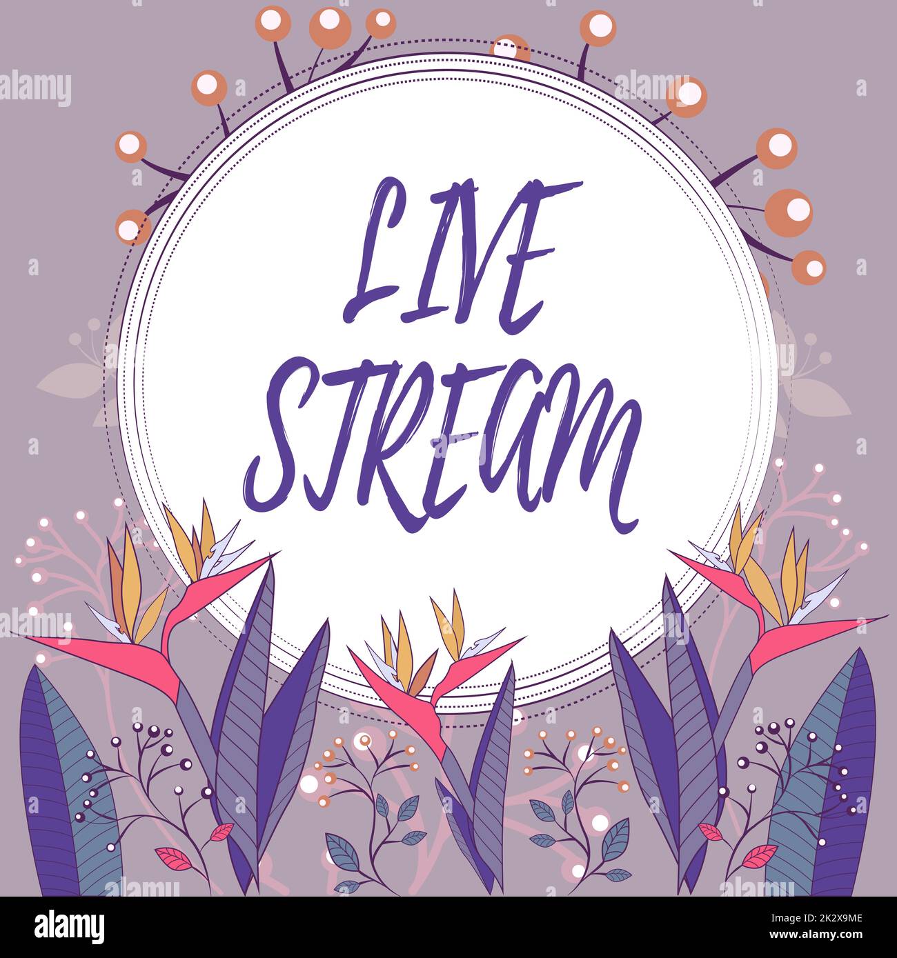 Text sign showing Live Stream. Conceptual photo transmit or receive ...