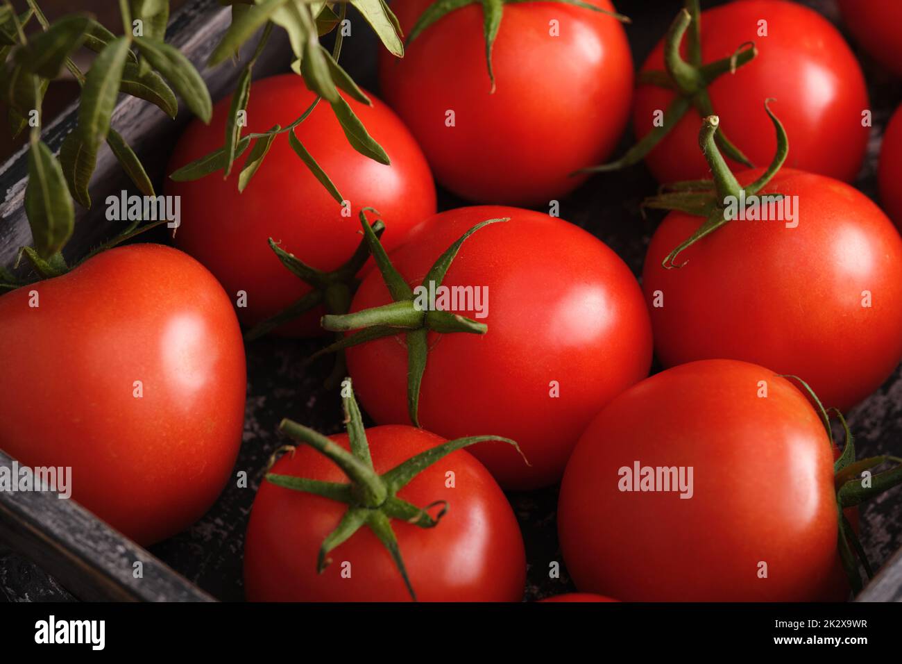 Fresh red ripe tomatoes hi-res stock photography and images - Alamy