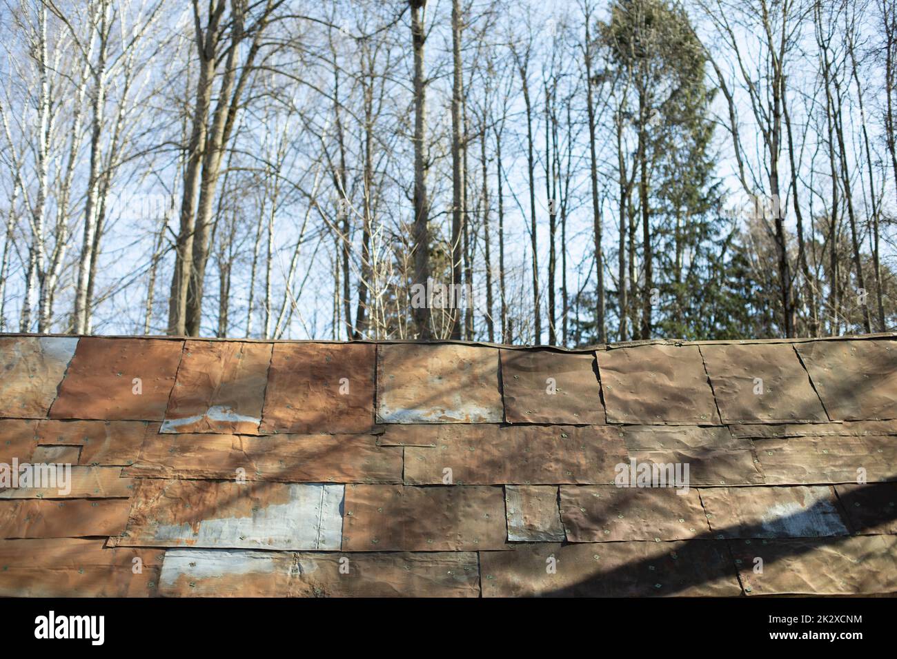 Rusty roof of house in woods. Old roof of house. Metal upholstery and ...