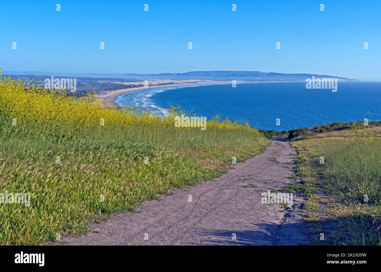 Colorful Trail Heading to the Ocean Stock Photo - Alamy