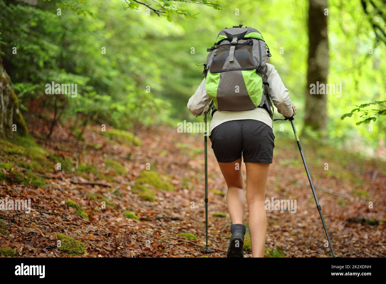 Happy free walking tour hi-res stock photography and images - Alamy