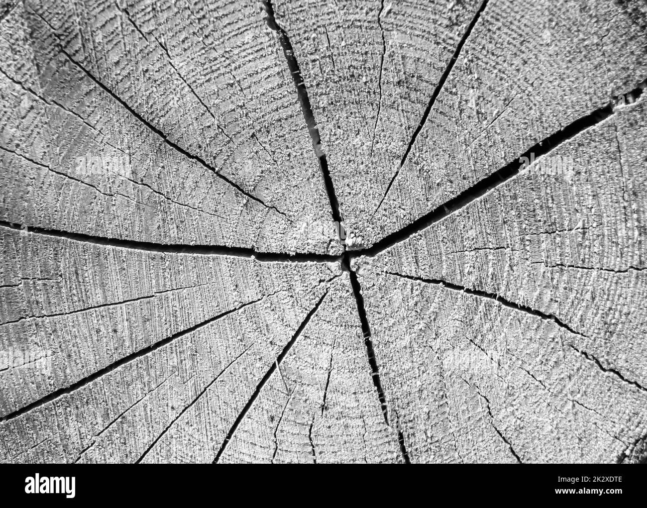 Floor fracture hi-res stock photography and images - Alamy