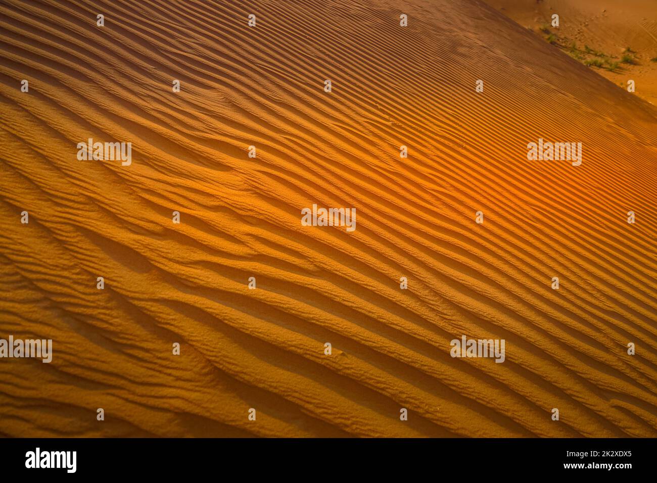 Arabian desert sand Stock Photo - Alamy