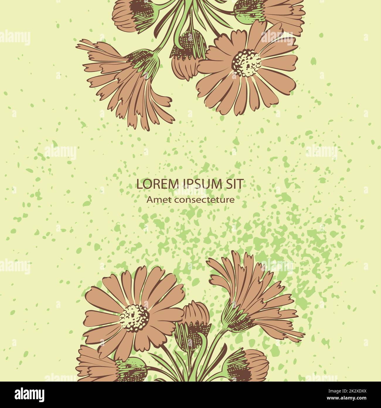 Attractively arranged bunch of flowers. Drawn Chrysanthemum flowers ...