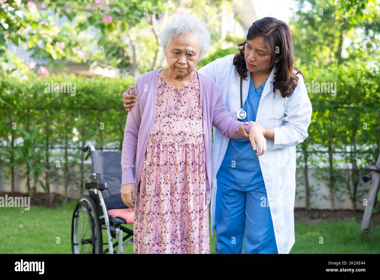 Doctor help and care Asian senior or elderly old lady woman patient sitting on wheelchair at ...