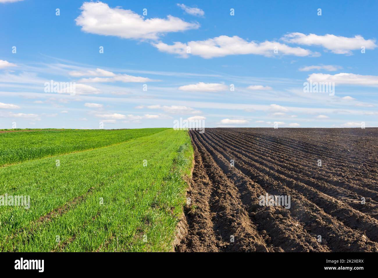 Sown hi-res stock photography and images - Alamy