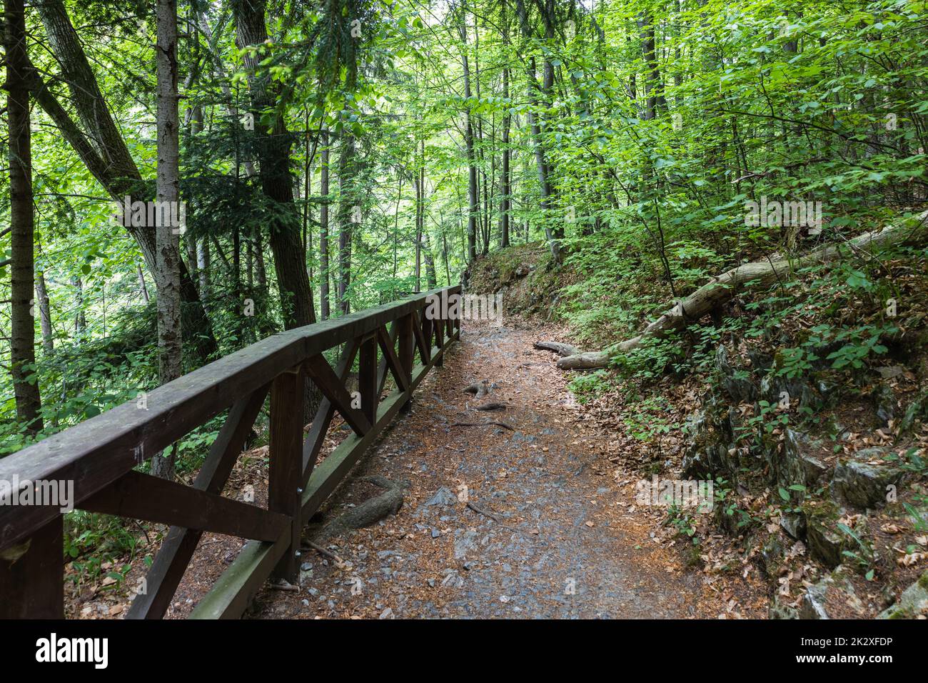 Walking path with wooden handrails near Punkva caves in the Moravian ...